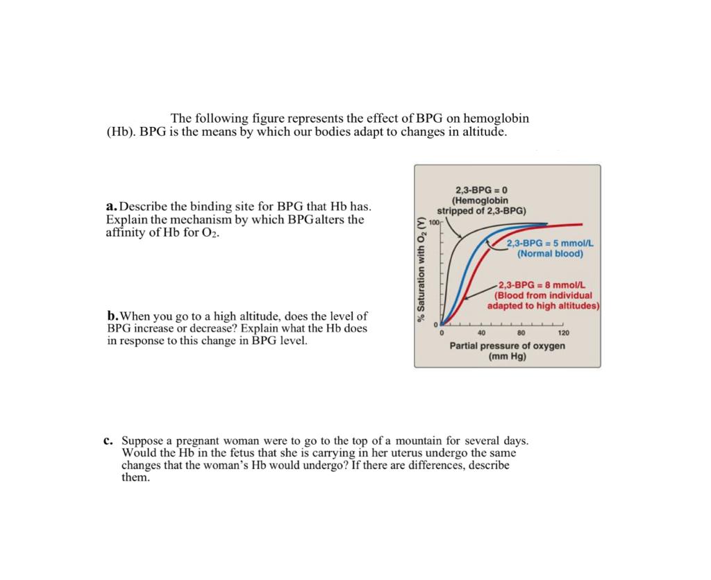 Solved The following figure represents the effect of BPG on | Chegg.com
