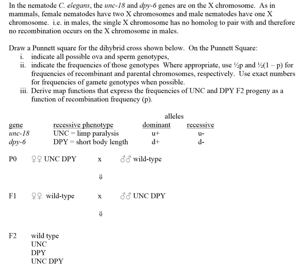 In the nematode C. elegans, the unc-18 and dpy-6 | Chegg.com