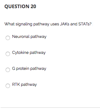Solved QUESTION 9 What enzymes glycosylate proteins? | Chegg.com