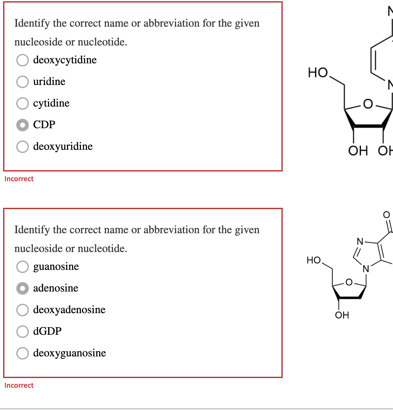 Solved Identify the correct name or abbreviation for the | Chegg.com