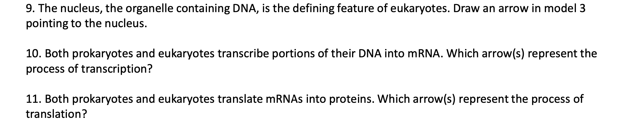 Solved Model 3. The ability to make proteins to carry out | Chegg.com