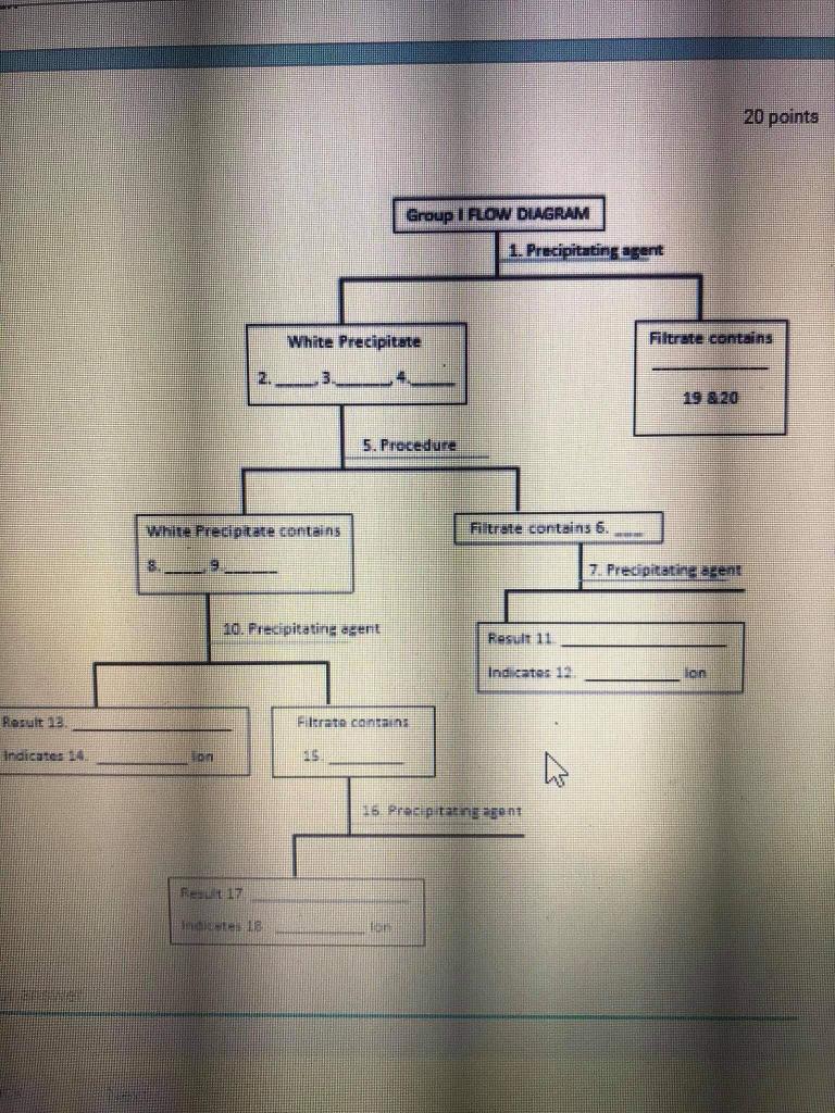 Solved 20 points Group | FLOW DIAGRAM 1. Precipitating agent | Chegg.com