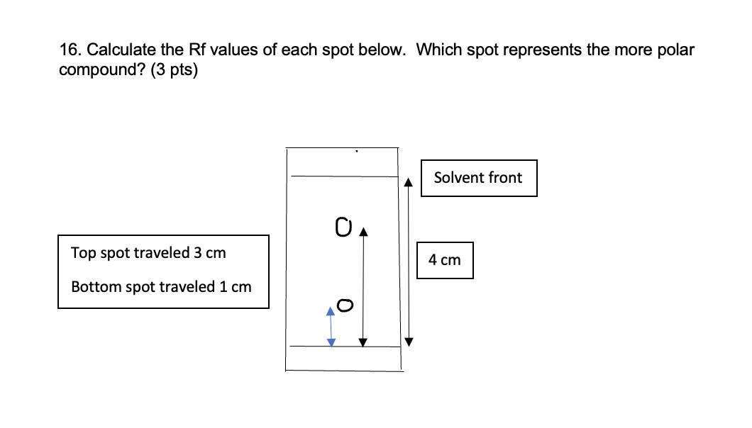 Solved 16. ﻿Calculate the Rf values of each spot below. | Chegg.com