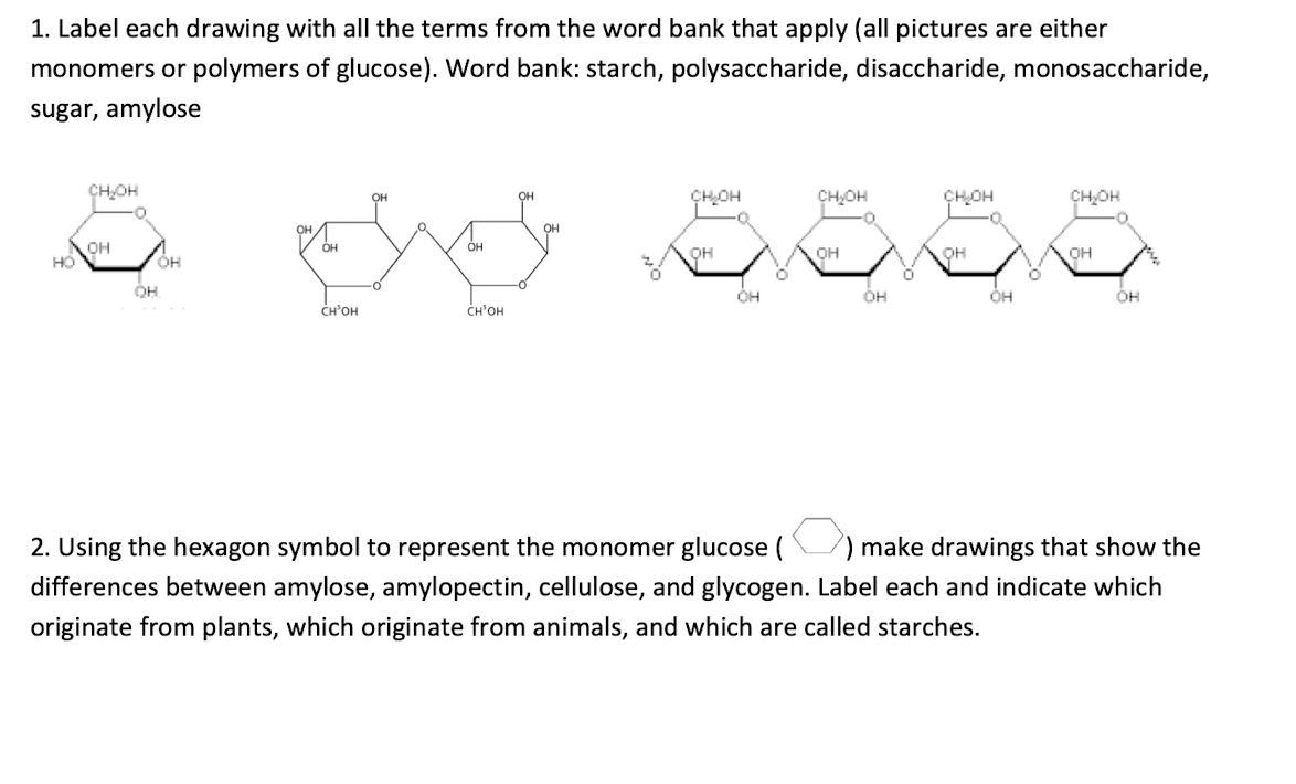 Solved 1. Label each drawing with all the terms from the | Chegg.com