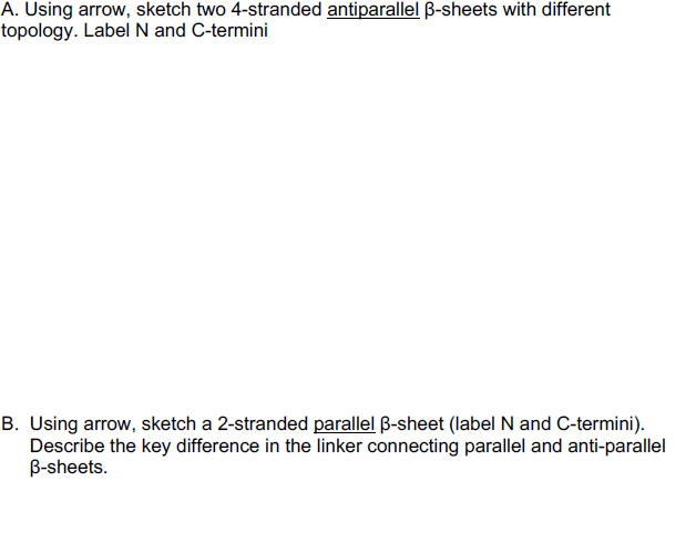 Solved A. Using arrow, sketch two 4-stranded antiparallel | Chegg.com