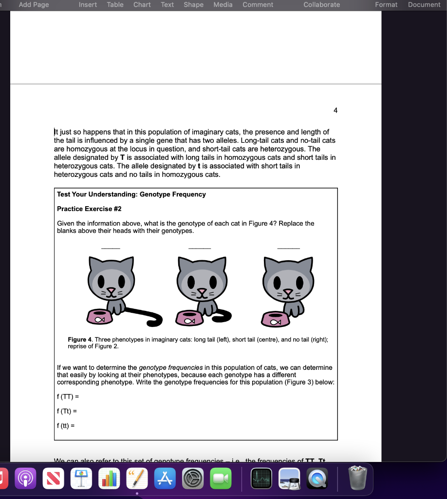 Solved Add Page Insert Table Chart Text Shape Media Comment | Chegg.com