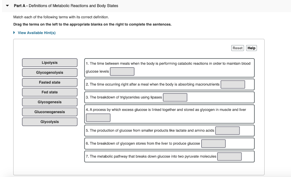 Solved Part A - Definitions of Metabolic Reactions and Body | Chegg.com
