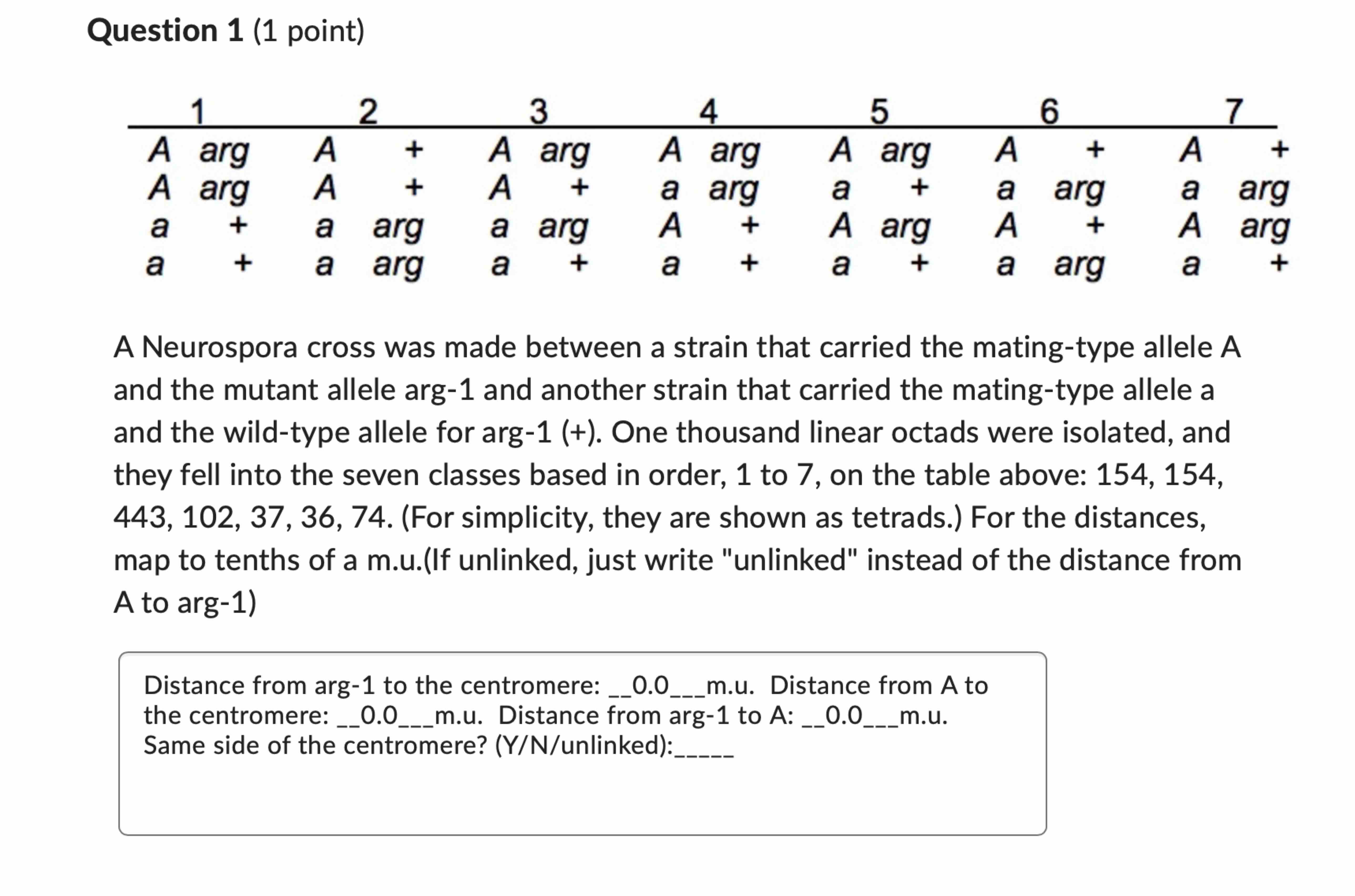 Solved Question 1 (1 ﻿point)A Neurospora cross was made | Chegg.com