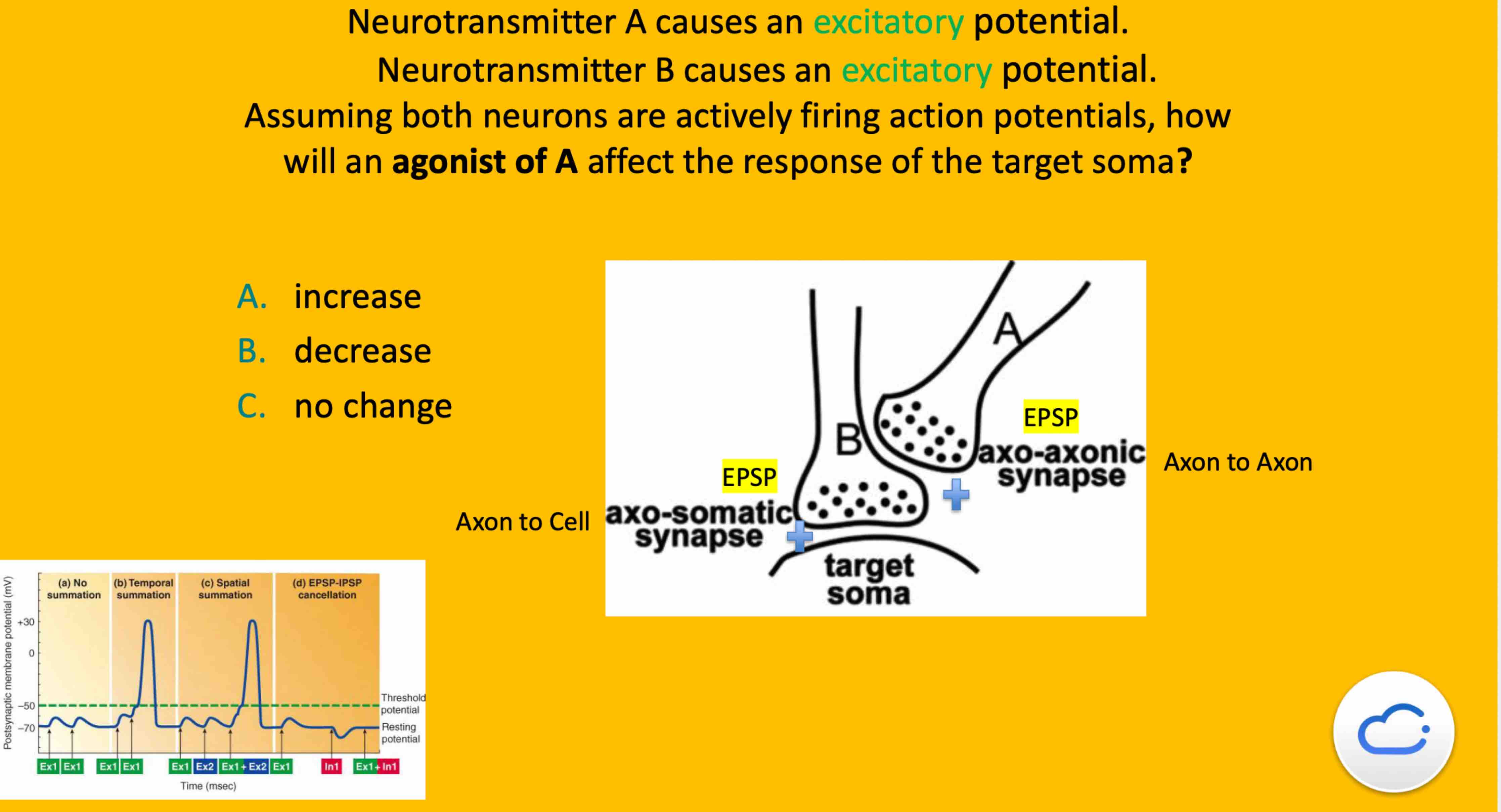 Solved Neurotransmitter A causes an excitatory | Chegg.com