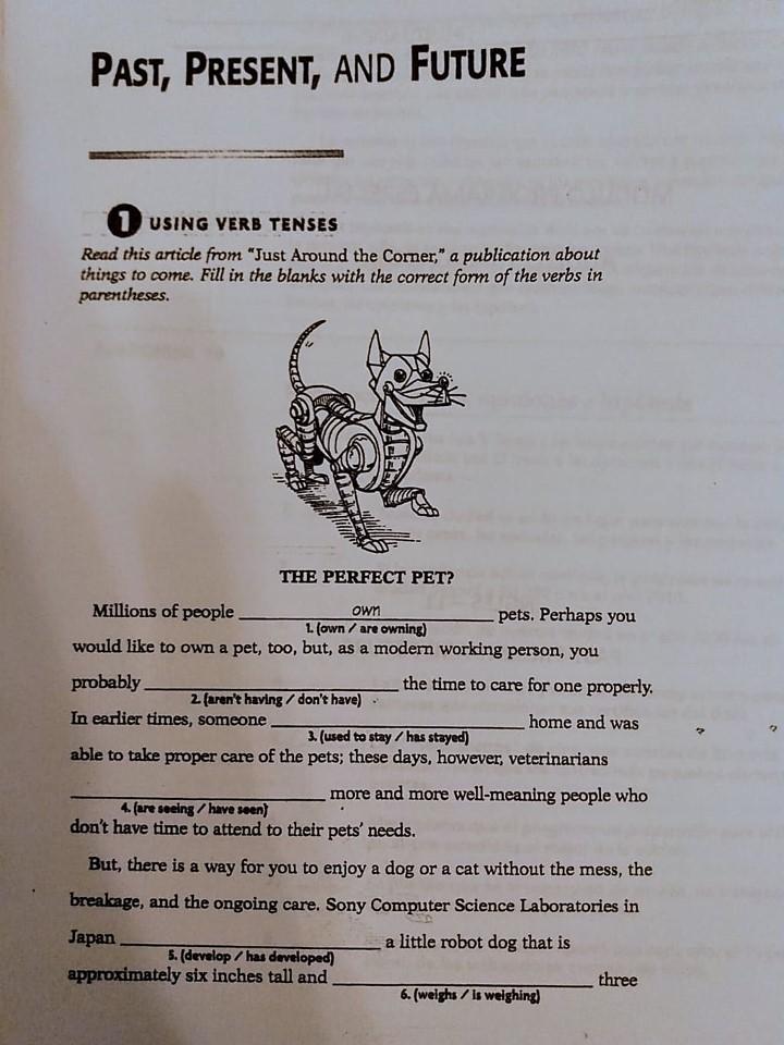 Solved PAST, PRESENT, AND FUTURE USING VERB TENSES Read this | Chegg.com