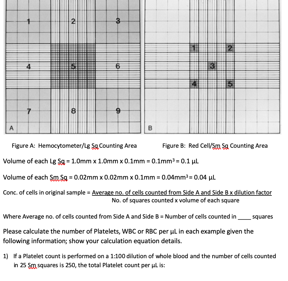 Neubauer Hemocytometer Formula Hot Picture