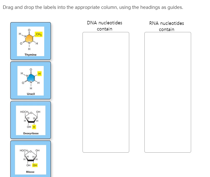 Solved Drag and drop the labels into the appropriate column, | Chegg.com