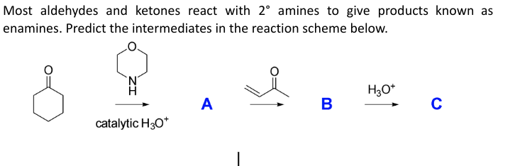 Solved Most aldehydes and ketones react with 2∘ amines to | Chegg.com