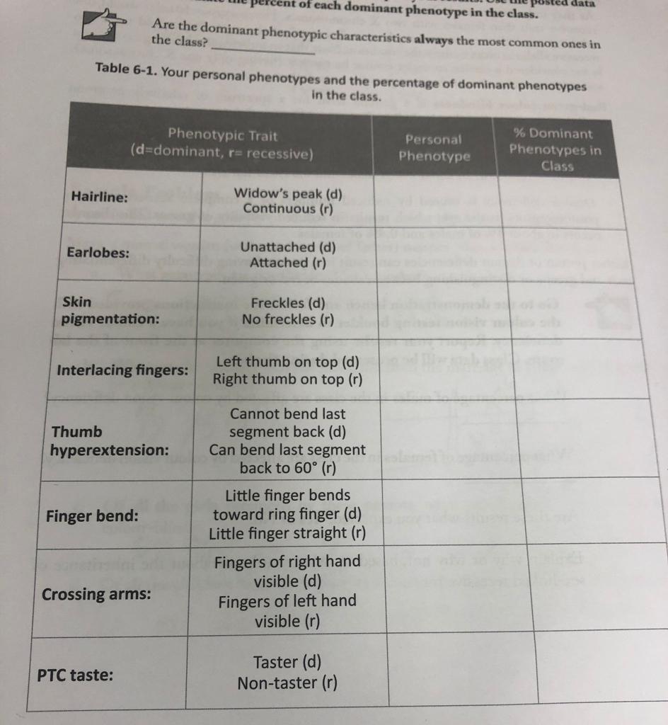 Can you show me an example of what personal phenotype | Chegg.com