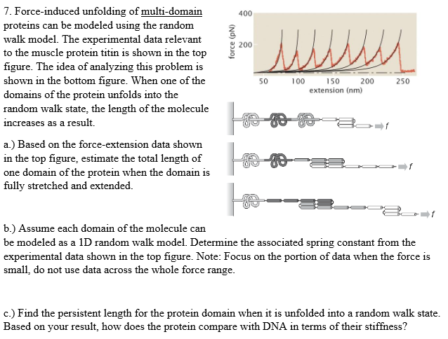 7. Force-induced unfolding of multi-domain proteins | Chegg.com