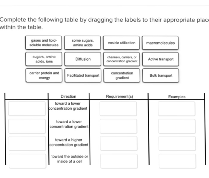 Solved Complete the following table by dragging the labels | Chegg.com Solved Complete the following table by dragging the labels | Chegg.com