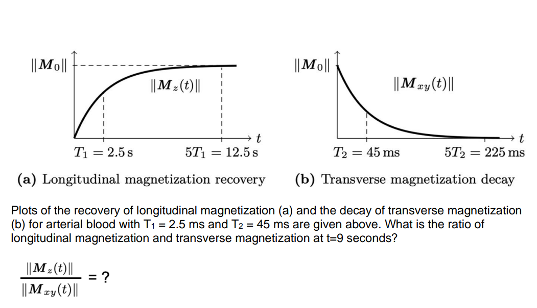 Solved (a) Longitudinal magnetization recovery (b) | Chegg.com