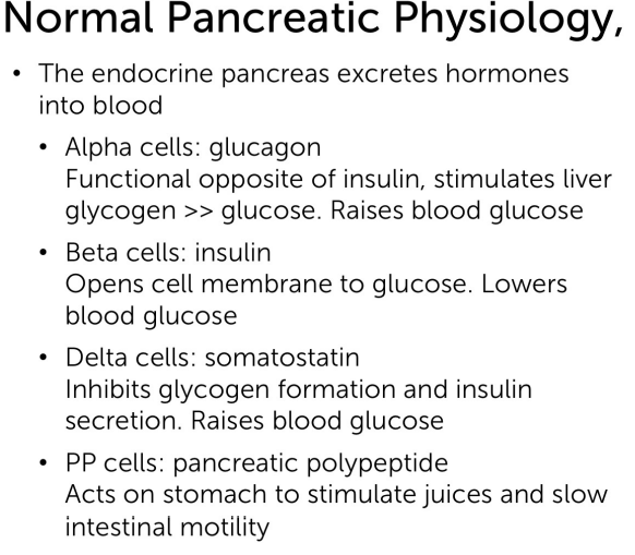 Solved Describe the function of alpha cells and beta cells | Chegg.com