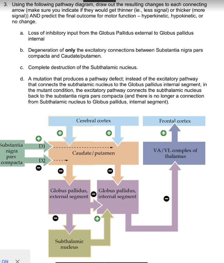 Solved 3. Using the following pathway diagram, draw out the | Chegg.com