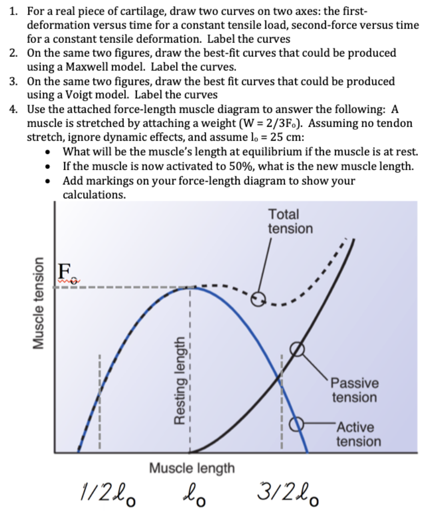 1. For a real piece of cartilage, draw two curves on | Chegg.com