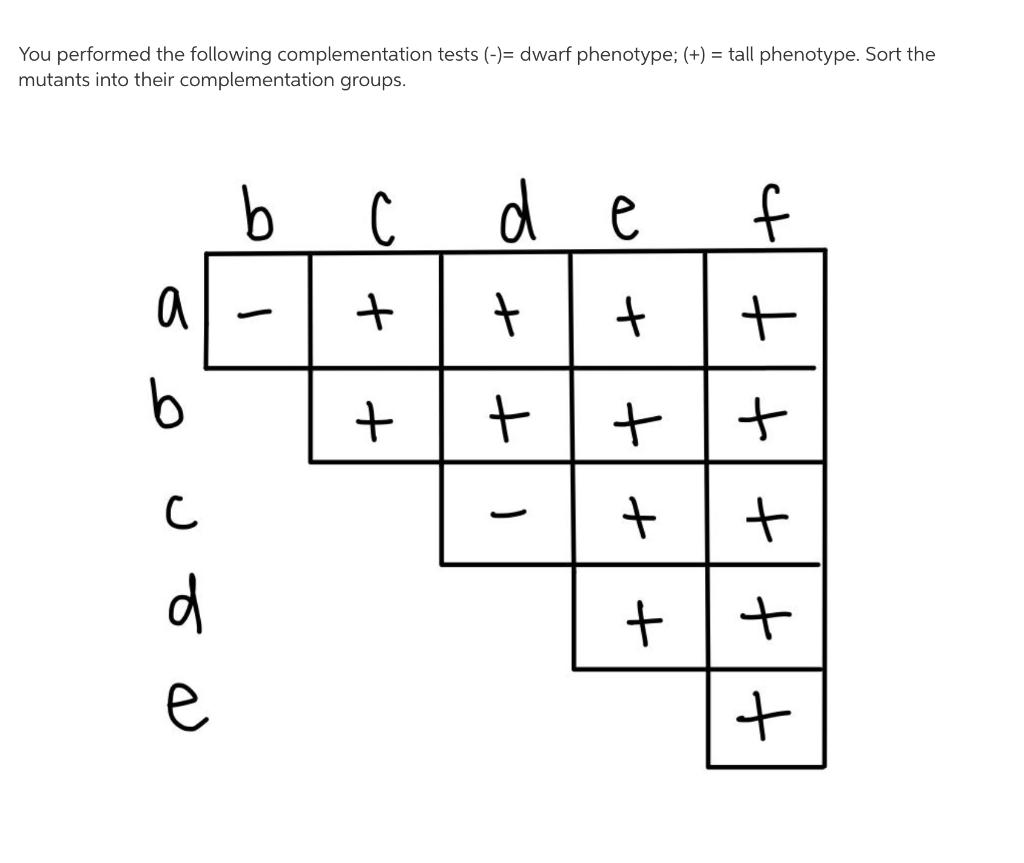 Can you please explain this complementation test? The | Chegg.com