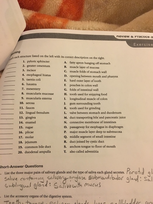 Solved match each structure on the left with its correct | Chegg.com