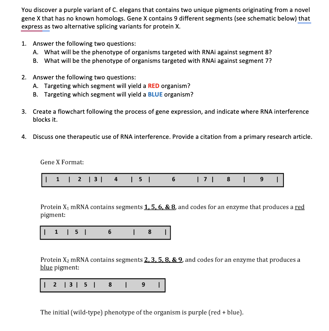 Solved Please repsond to all questions. | Chegg.com