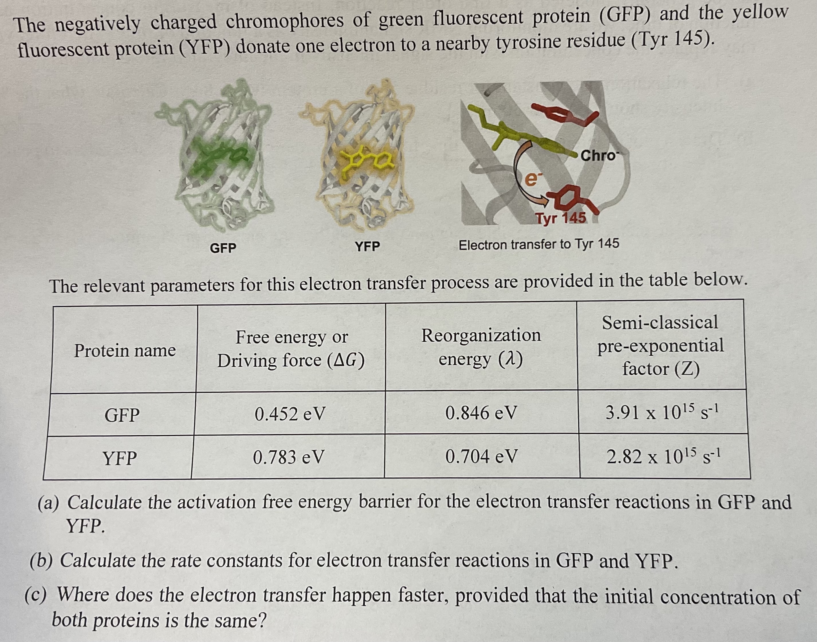 Solved The negatively charged chromophores of green | Chegg.com