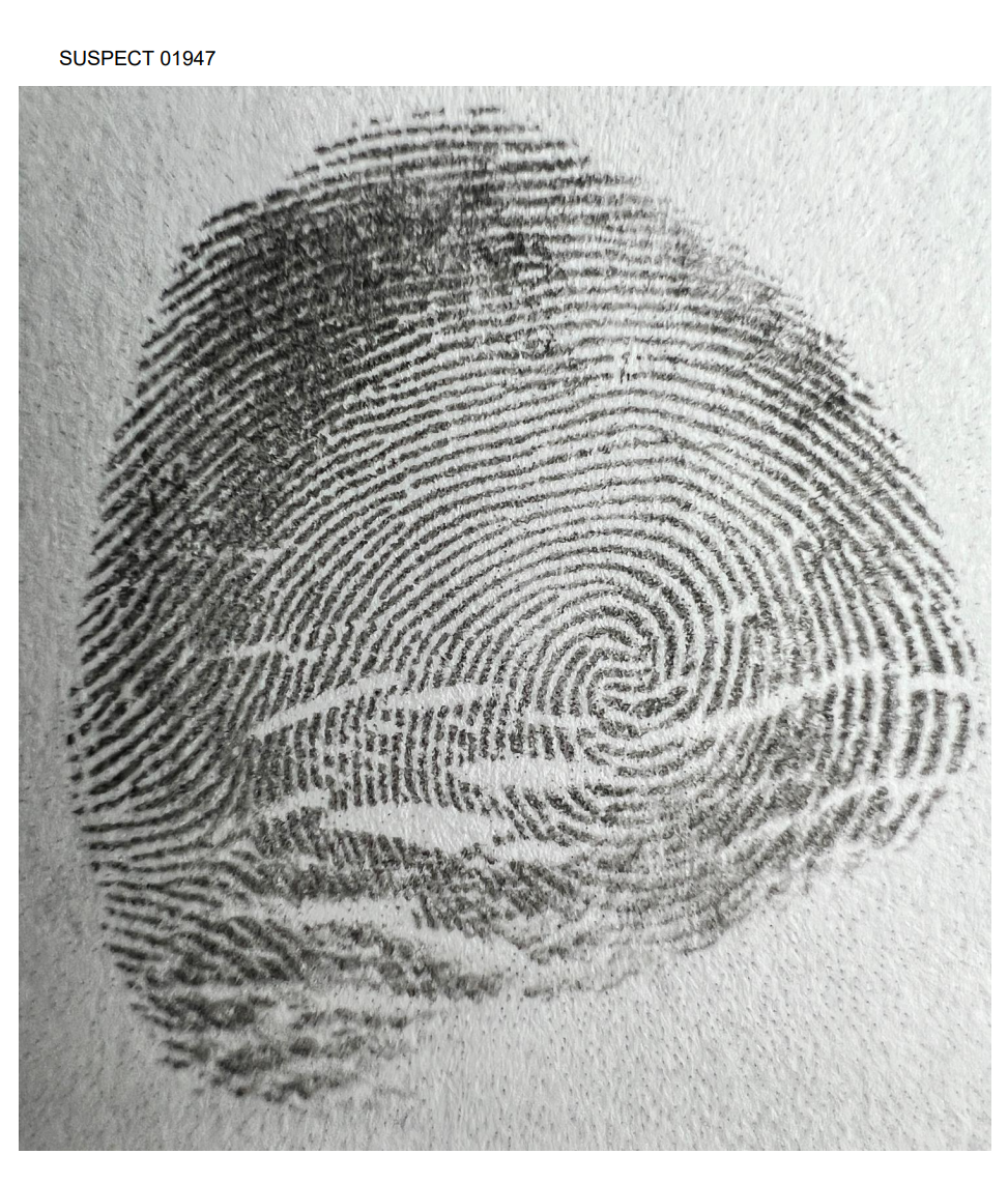 Solved Latent Print Assignment You are given two latent | Chegg.com