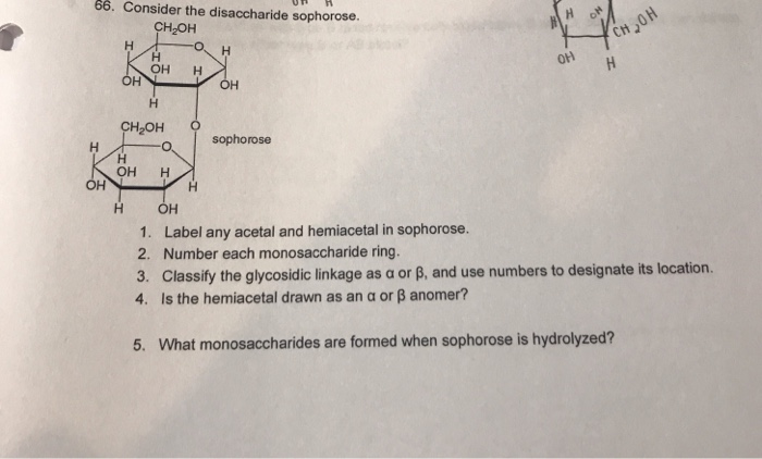 Solved 66. Consider the disaccharide sophorose CHOH Ch 2 on | Chegg.com