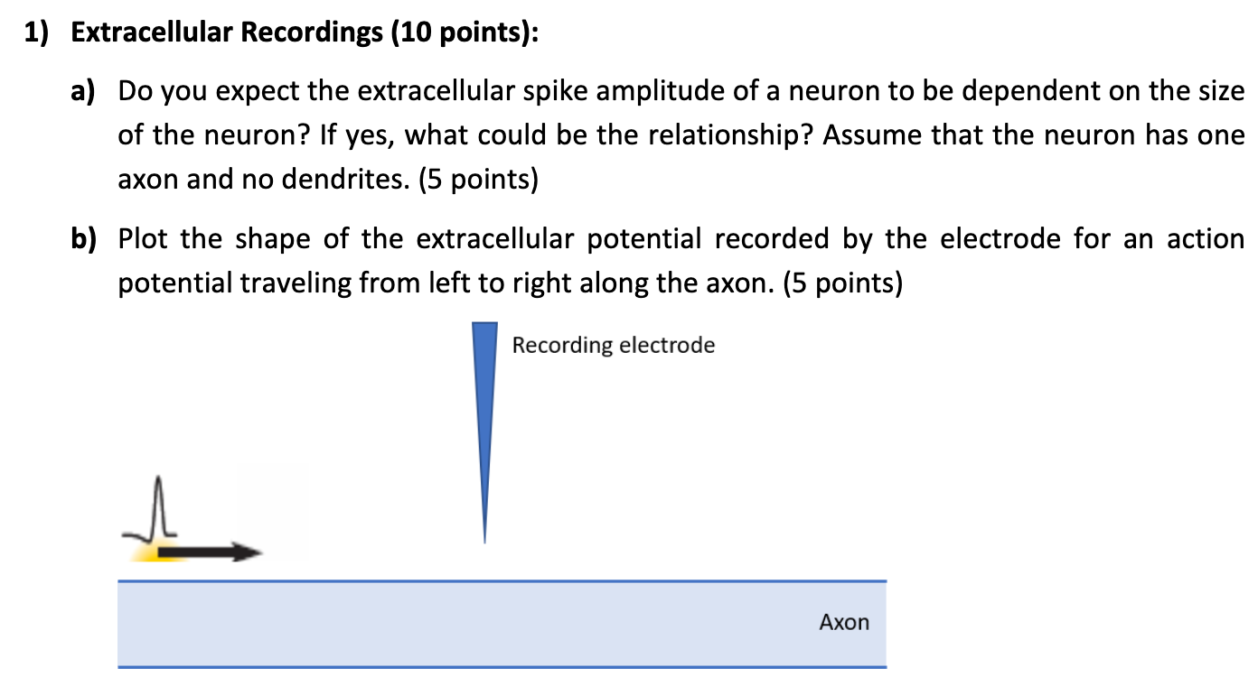 Solved 1) Extracellular Recordings (10 points): a) Do you | Chegg.com