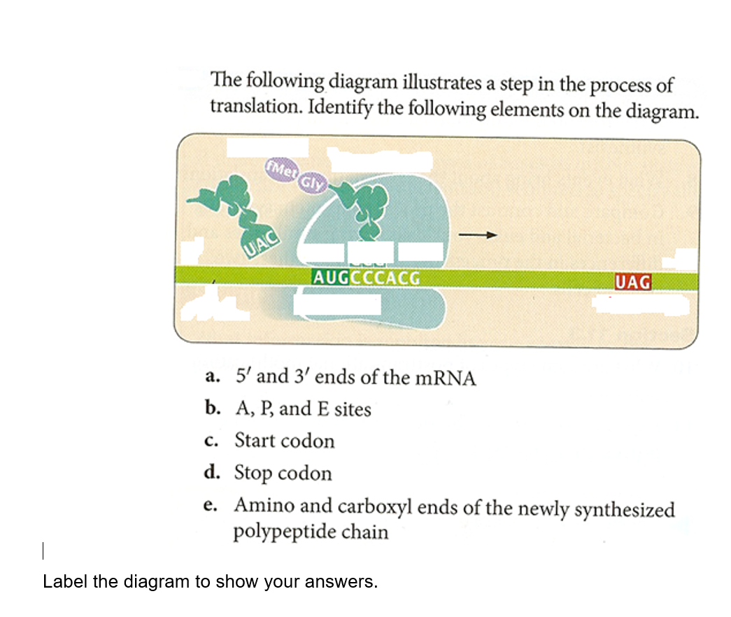 solved-the-following-diagram-illustrates-a-step-in-the-chegg
