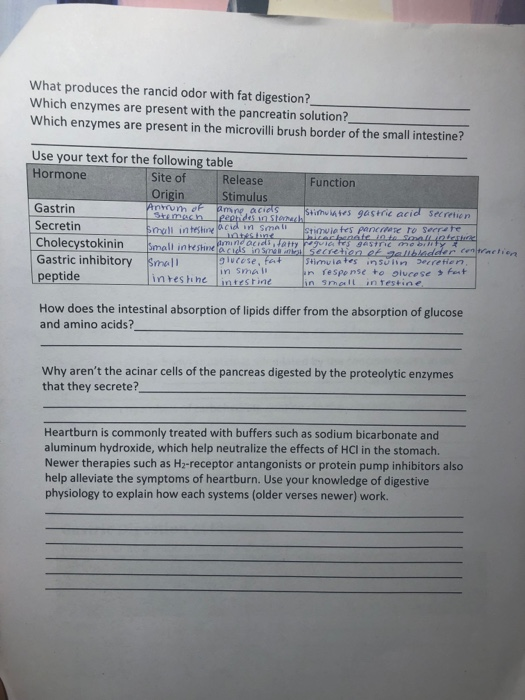 Solved Laboratory Worksheet: Digestion Salivary Digestion of | Chegg.com