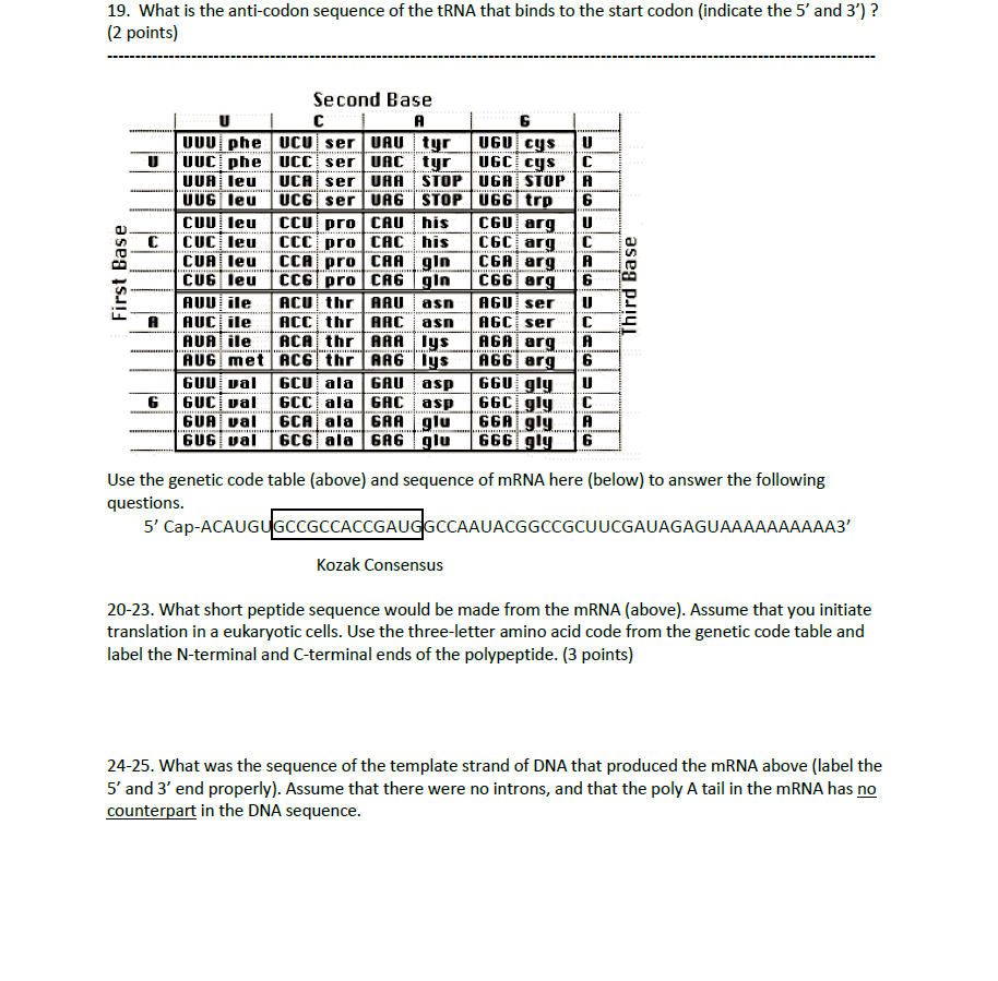 Solved 19 What Is The Anti Codon Sequence Of The Trna That