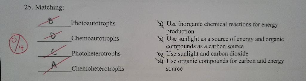 Chemoautotrophs
