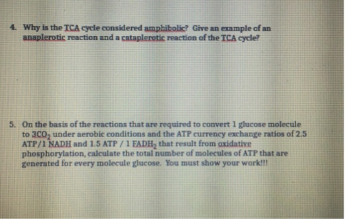 Solved 4. Why is the TCA cycle considered amphibolic? Give | Chegg.com