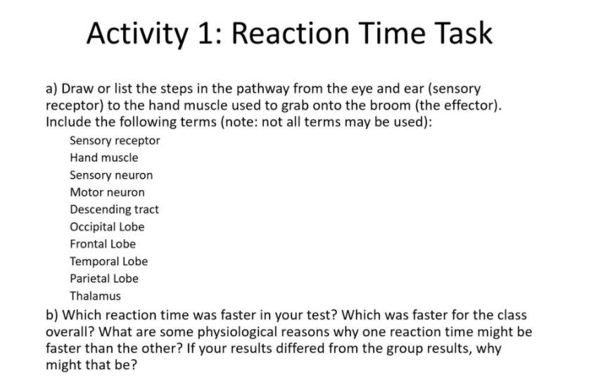 Solved Activity 1: Reaction Time Task a) Draw or list the | Chegg.com