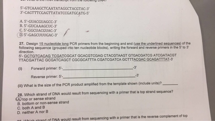 Solved Design 15 nucleotide long PCR primers from the | Chegg.com