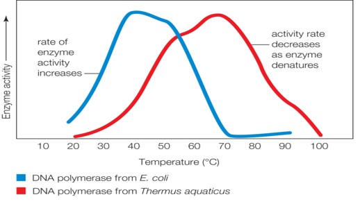 Solved Question 7 The following is a graph of two enzymes | Chegg.com