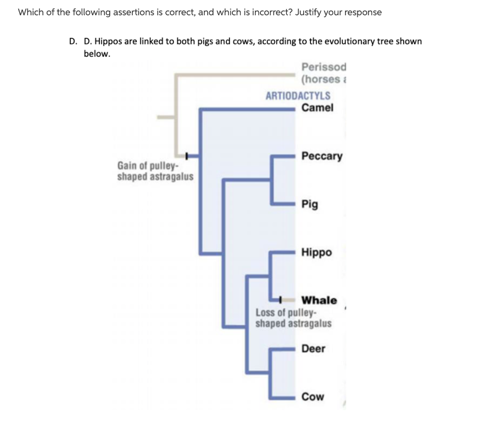 Solved Which of the following assertions is correct, and | Chegg.com