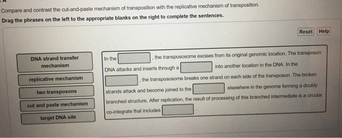 Solved Compare and contrast the cut-and-paste mechanism of | Chegg.com