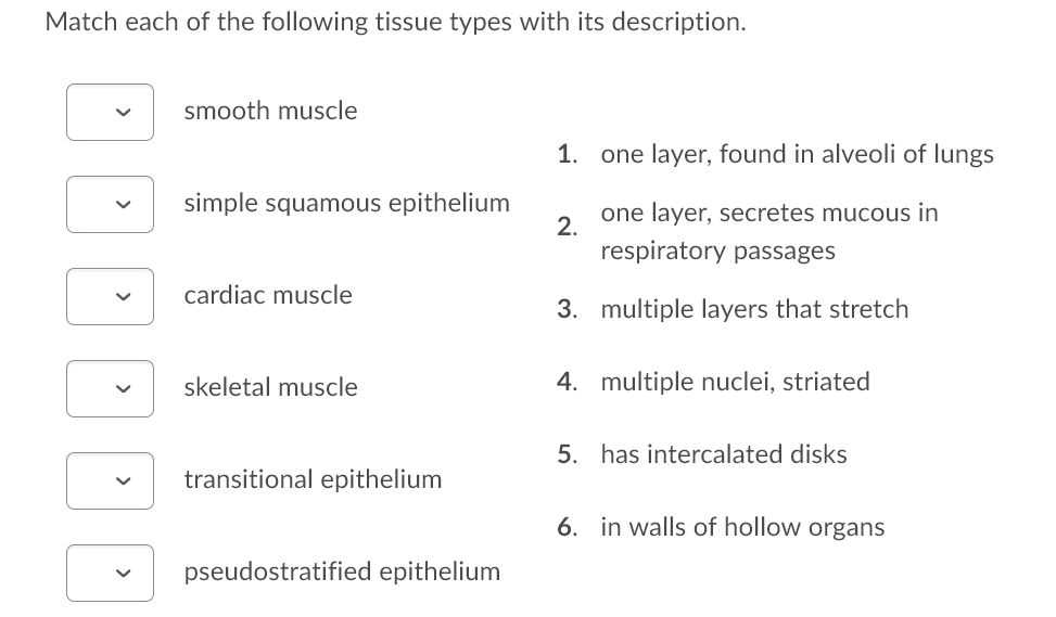 Solved Match each of the following tissue types with its | Chegg.com