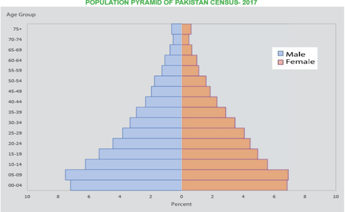 Solved Below is the population pyramid of Pakistan Census | Chegg.com
