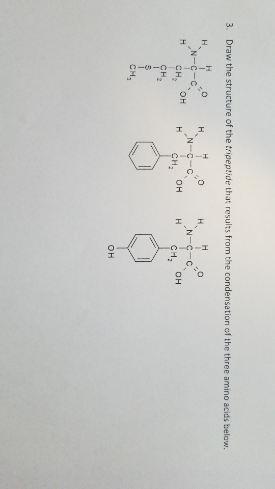 Solved 3. Draw the structure of the tripeptide that results | Chegg.com