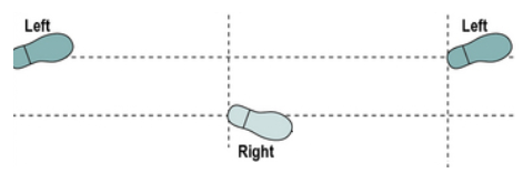 Solved Question deals with biomedical engineering,On the | Chegg.com