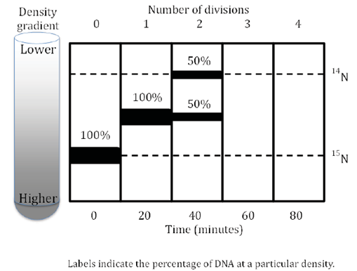 Solved 1.What was observed in the data after the first round | Chegg.com