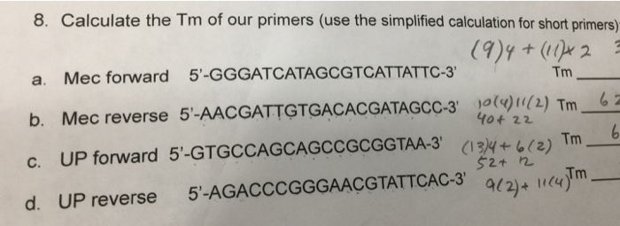 Solved 8. Calculate the Tm of our primers (use the | Chegg.com