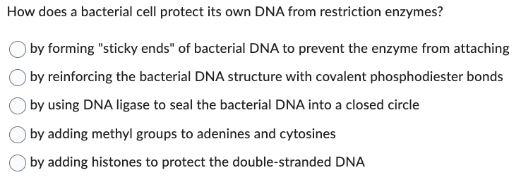 Solved How does a bacterial cell protect its own DNA from | Chegg.com