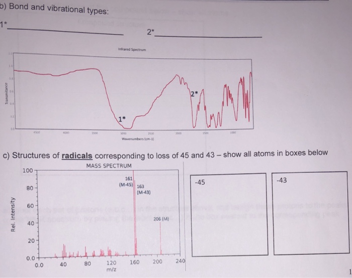 Solved Based on the molecular formula (C13H18O2 MW=206) | Chegg.com
