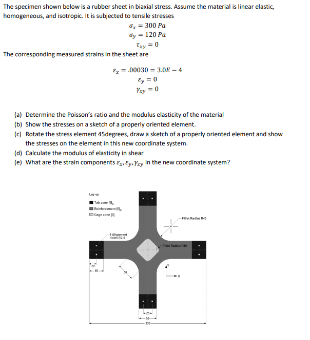Solved The specimen shown below is a rubber sheet in biaxial | Chegg.com